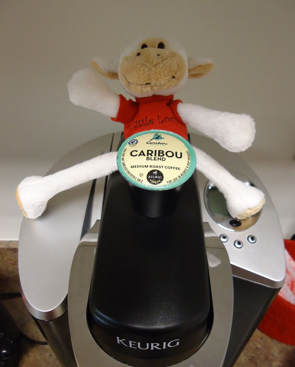 Little Loopy Troublemakers - The Loopy Ewe Blog