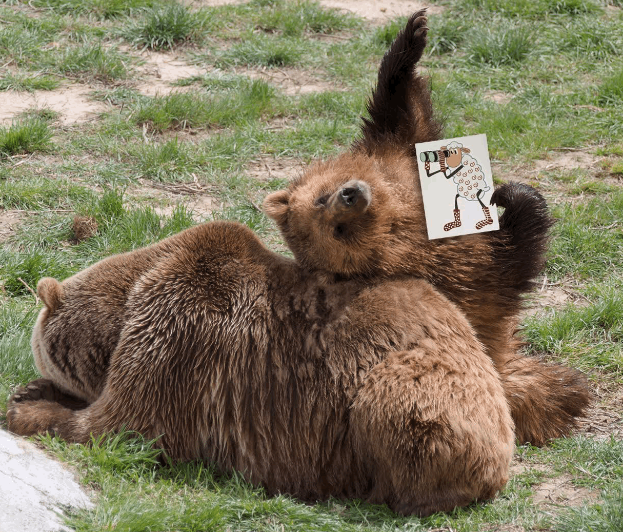 Camp Loopy Photo Contest Two - The Loopy Ewe Blog