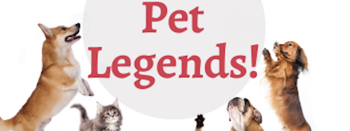 Loopy Pet Legends! (Yours?) - The Loopy Ewe Blog